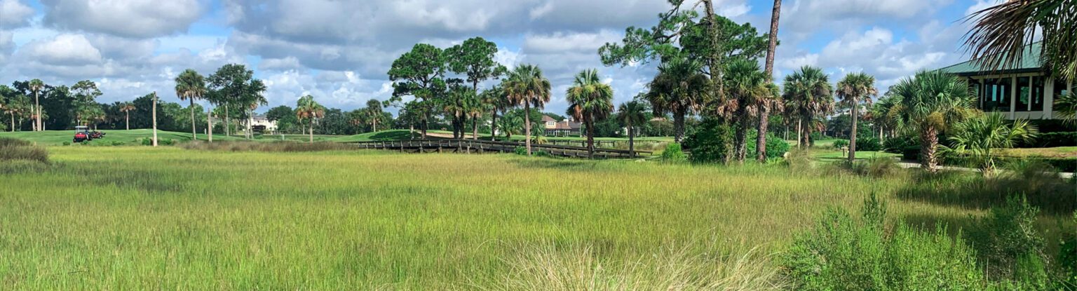 Marsh Landing Country Club | Concert Golf Partners