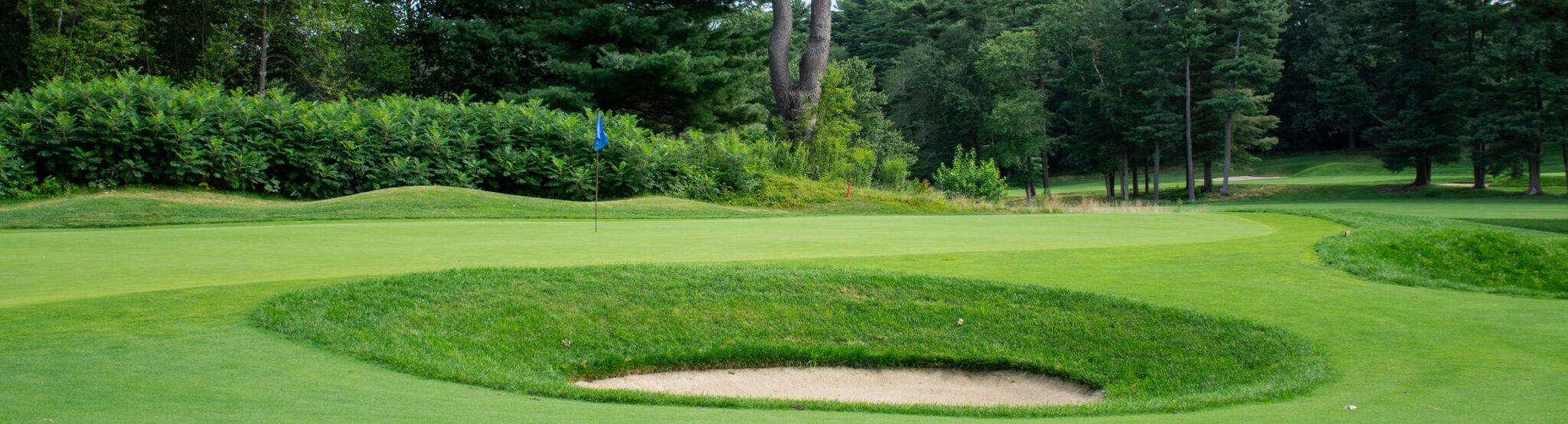 Case Study: Blue Hill Country Club | Concert Golf Partners