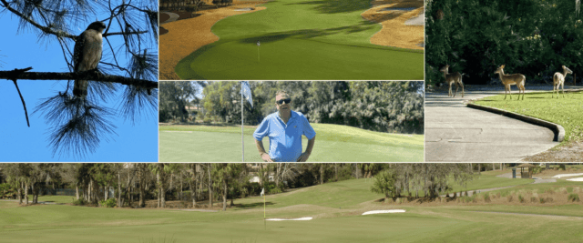 Heathrow Legacy Country Club’s Fazio Course Earns Audubon International ...